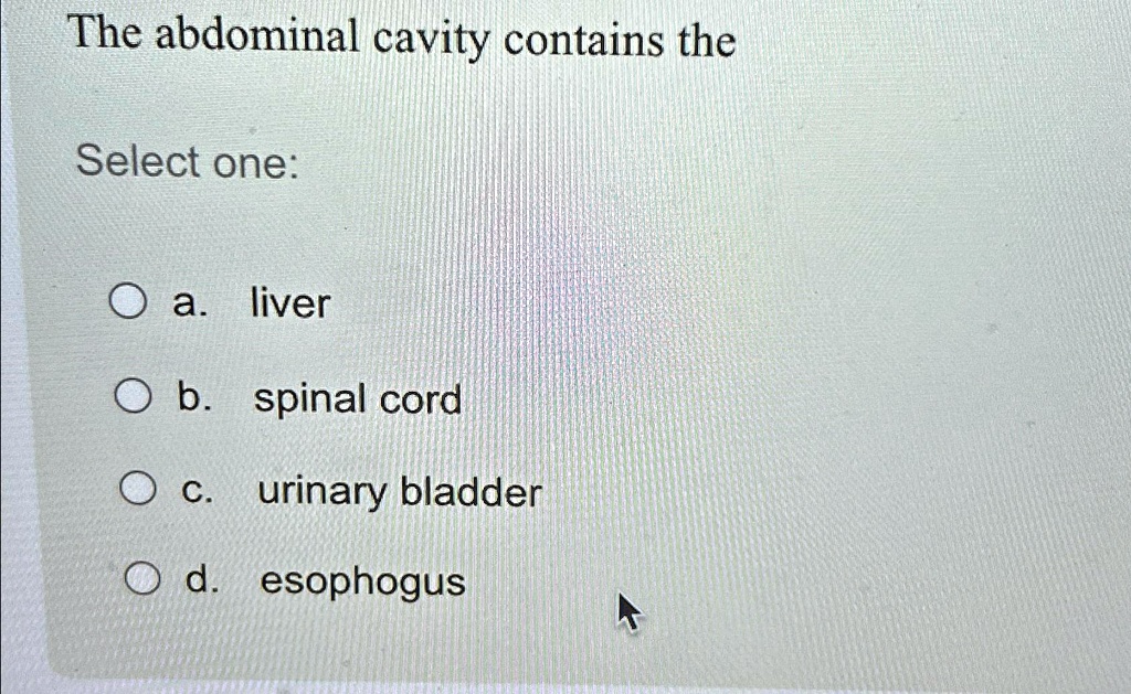 SOLVED: The abdominal cavity contains the Select one: a. liver b ...