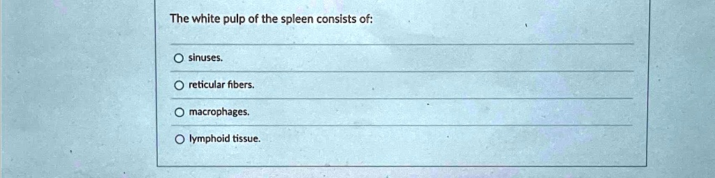 The white pulp of the spleen consists of: ? sinuses. ? reticular fibers ...