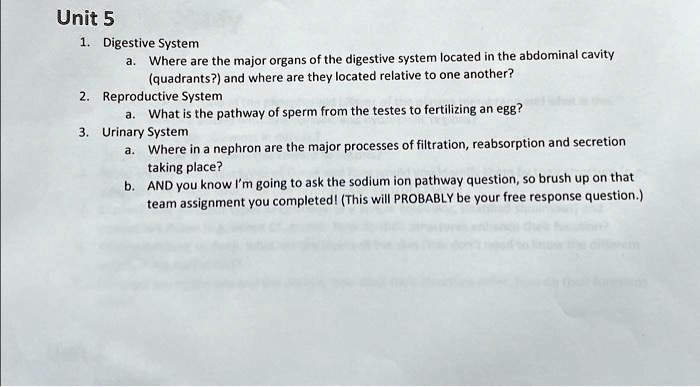 Unit 5 1. Digestive System a. Where are the major organs of the ...