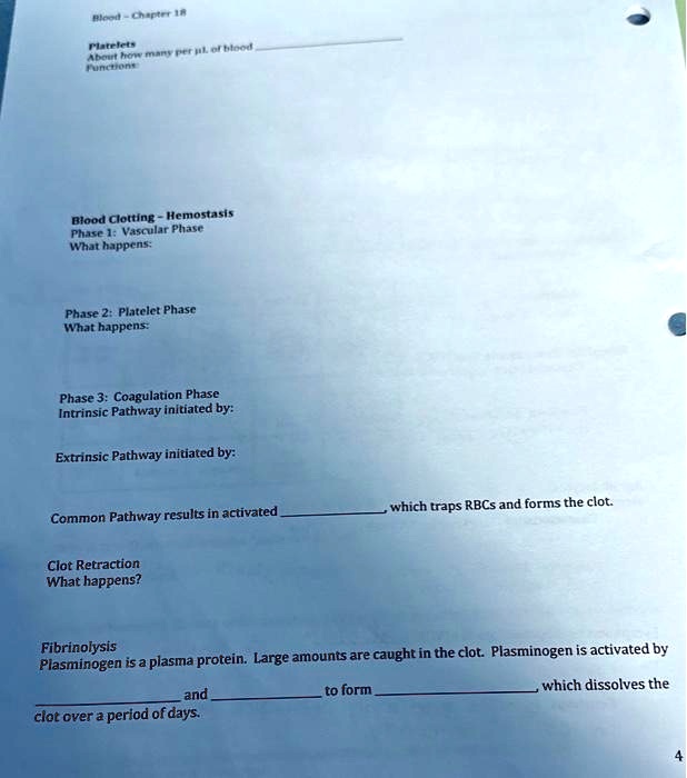 SOLVED: Texts: Chapter 18: Platelets About how many platelets are there ...