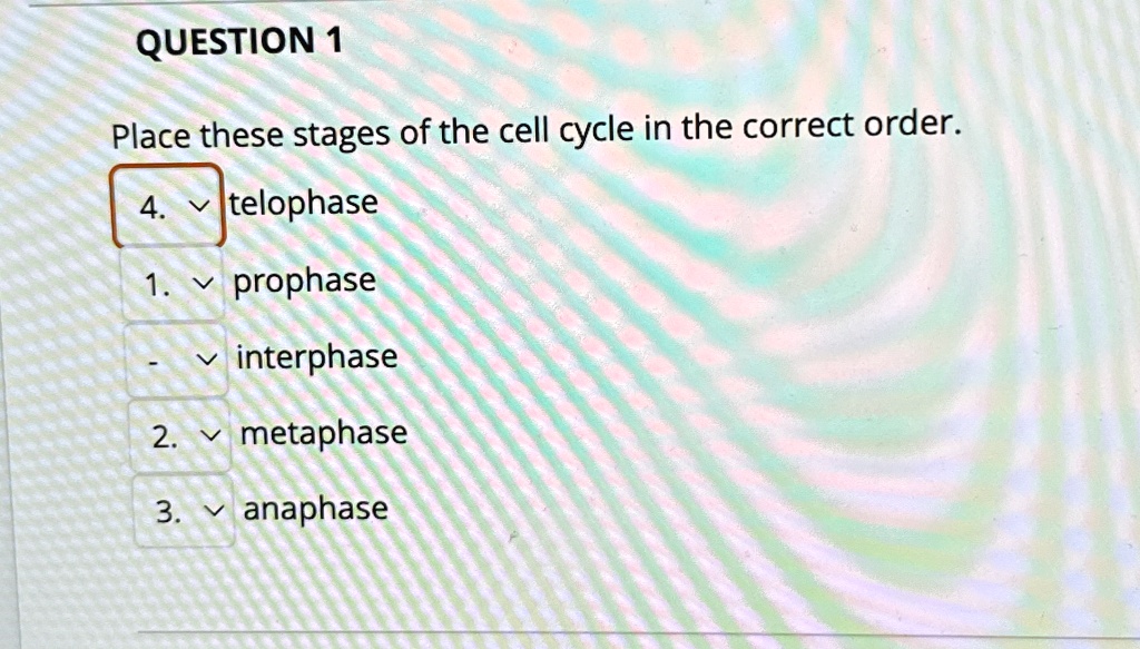 QUESTION 1 Place these stages of the cell cycle in the correct order. 4. telophase 1. prophase ...