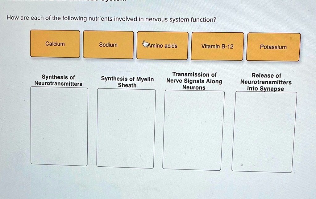 SOLVED: How are each of the following nutrients involved in nervous ...