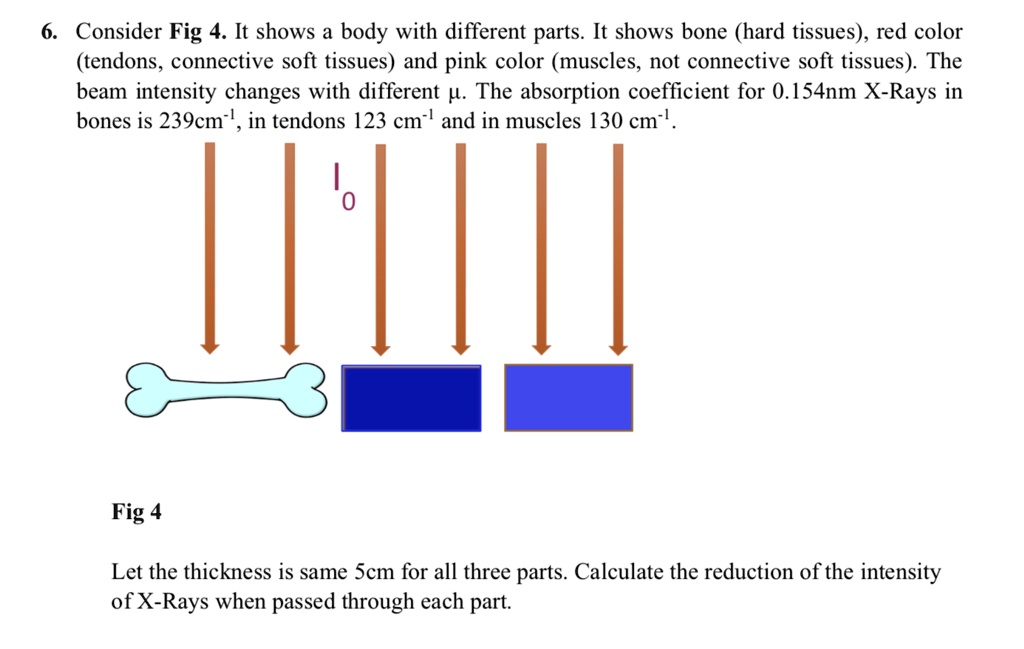 SOLVED: Consider Fig 4. It shows a body with different parts. It shows ...