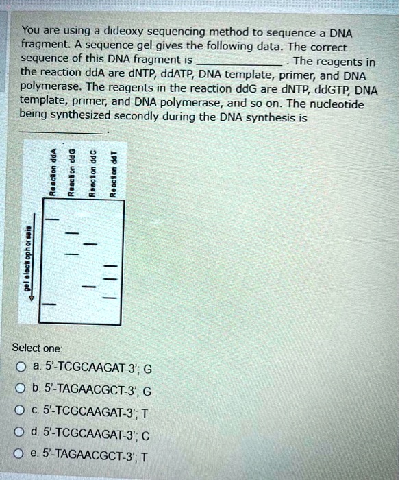 you are using a dideoxy sequencing method to sequence a dna fragment a sequence gel gives the ...