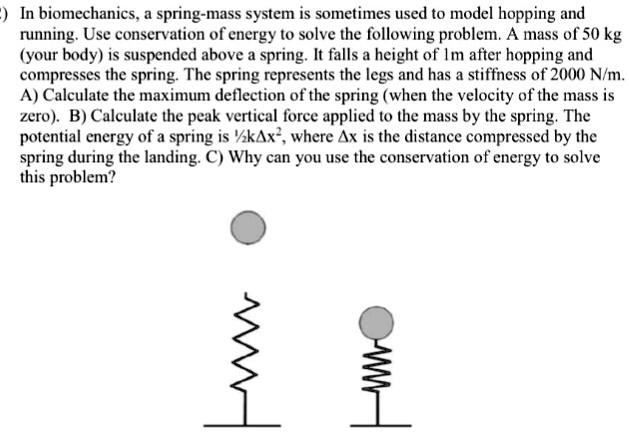 SOLVED: In biomechanics,a spring-mass system is sometimes used to model ...