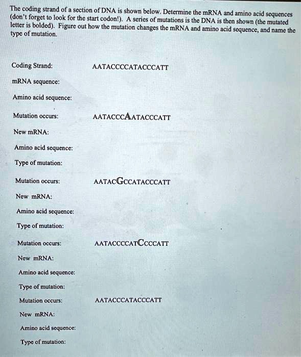 SOLVED:The coding strand of a scction ofDNA is shown below. Determine ...