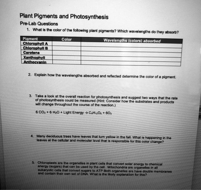 SOLVED:Plant Pigments and Photosynthesis Pro-Lab Questions What is the ...