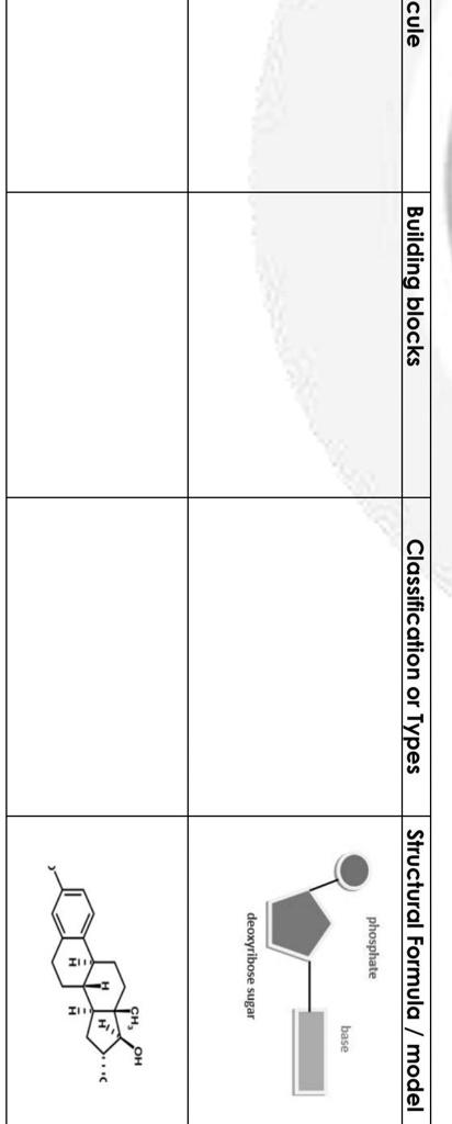 learning task 1 lets categorizeon a separate sheet of paper given the structural formula ...