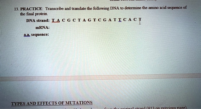 13practice transcribe and translate the following dna to determine the ...