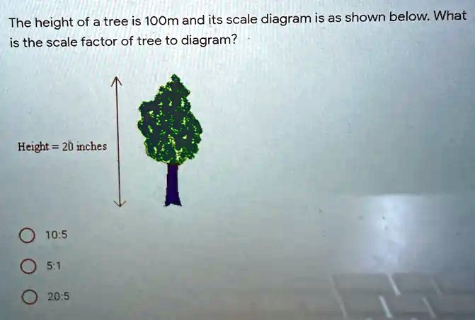 SOLVED: The height of a tree is 100m and its scale diagram is as shown ...