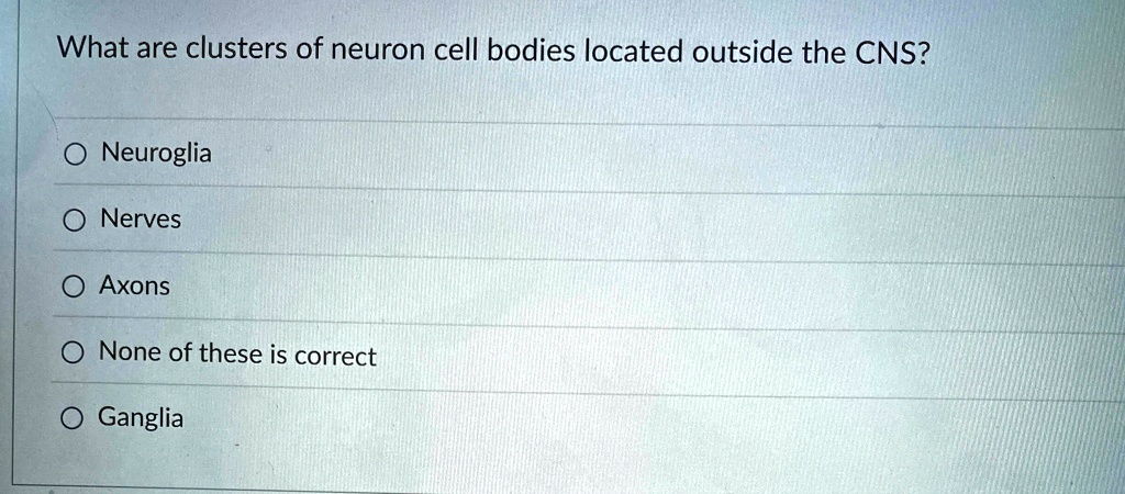 what are clusters of neuron cell bodies located outside the cns o ...