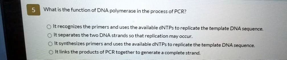 SOLVED: ' What is the function of DNA polymerase in the process of PCR? It recognizes the ...