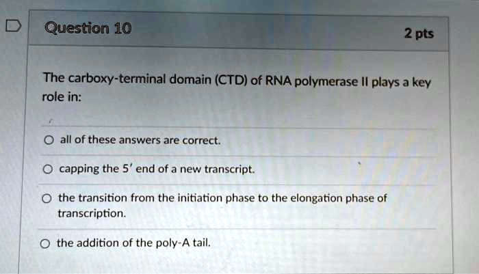 Solved Question 10 2 Pts The Carboxy Terminal Domain Ctd Of Rna