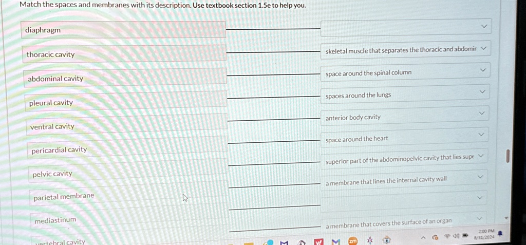 Match the spaces and membranes with its description. Use...