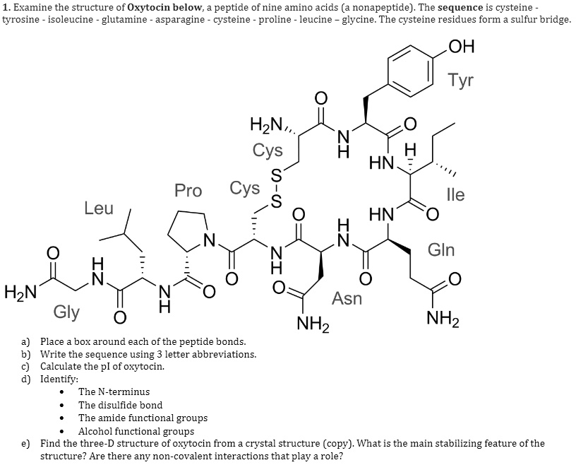 Solved Examine The Structure Of Oxytocin Below A Peptide Of Nine Amino Acids A Nonapeptide