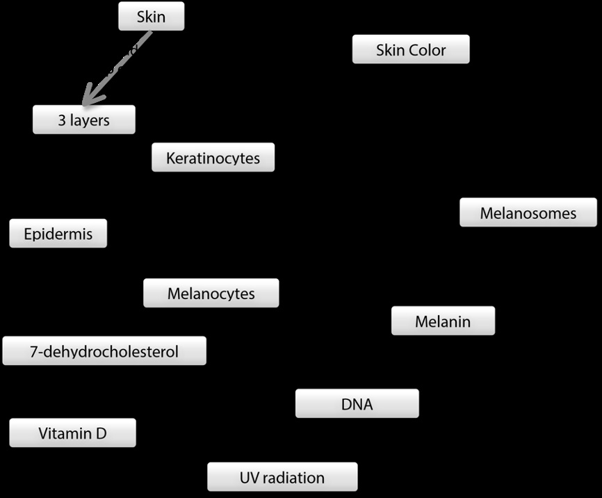 use arrows to connect the concept bubbles below making a concept map be ...