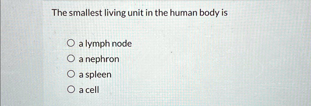 The smallest living unit in the human body is a lymph node a nephron a ...