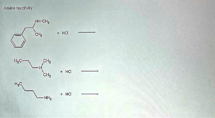 Amine reactivity NH-CH3 CH3 + HCl H3C CH3 N + HCl CH3 H3C + HCl -NH2