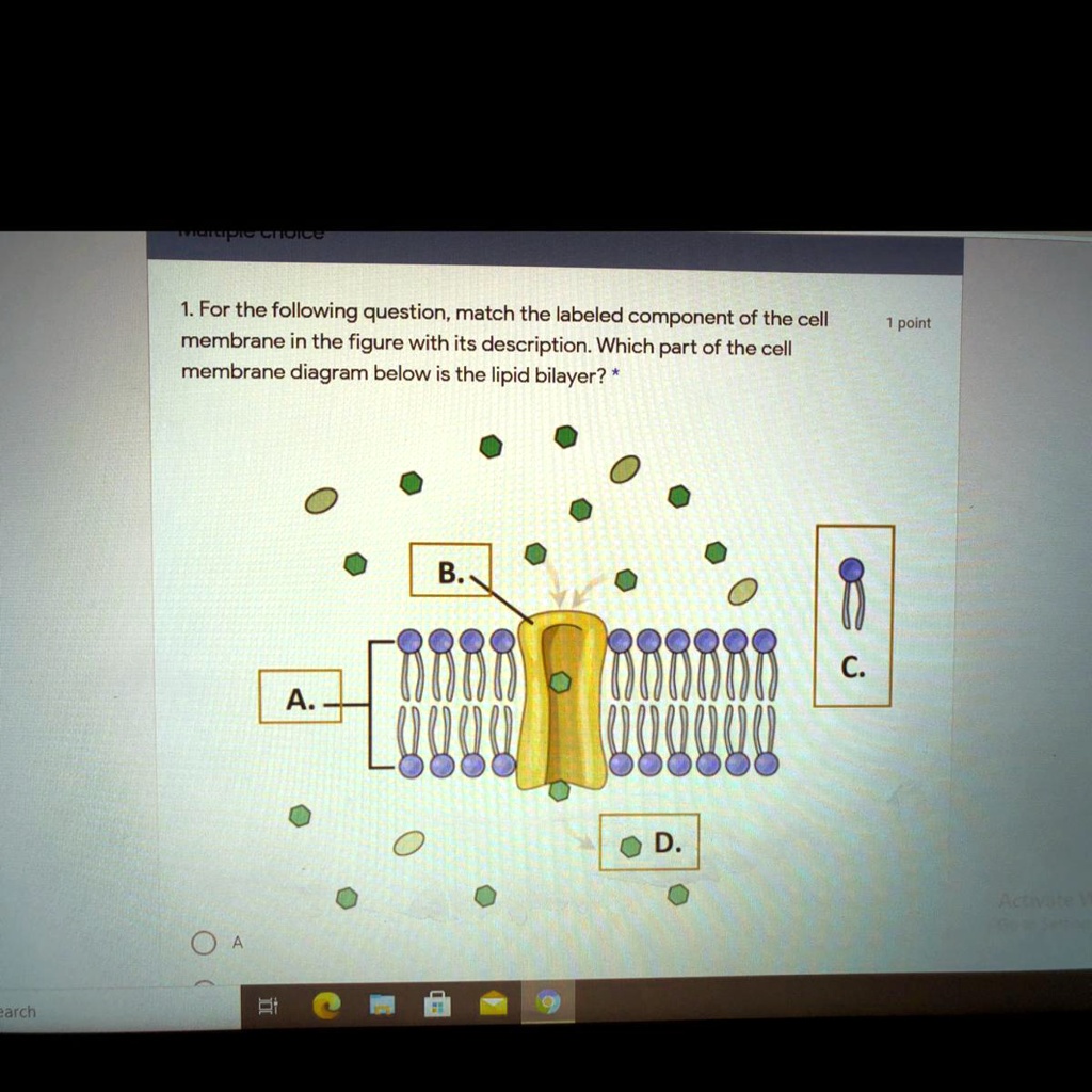 1. For the following question, match the labeled component of the cell ...