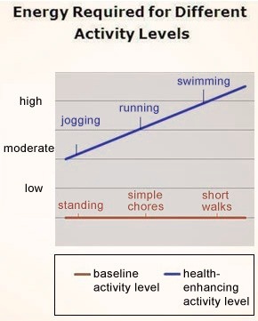 SOLVED: Meg is moderately active and completes 30 minutes of daily ...