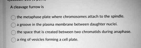 SOLVED: A cleavage furrow is the metaphase plate where chromosomes ...