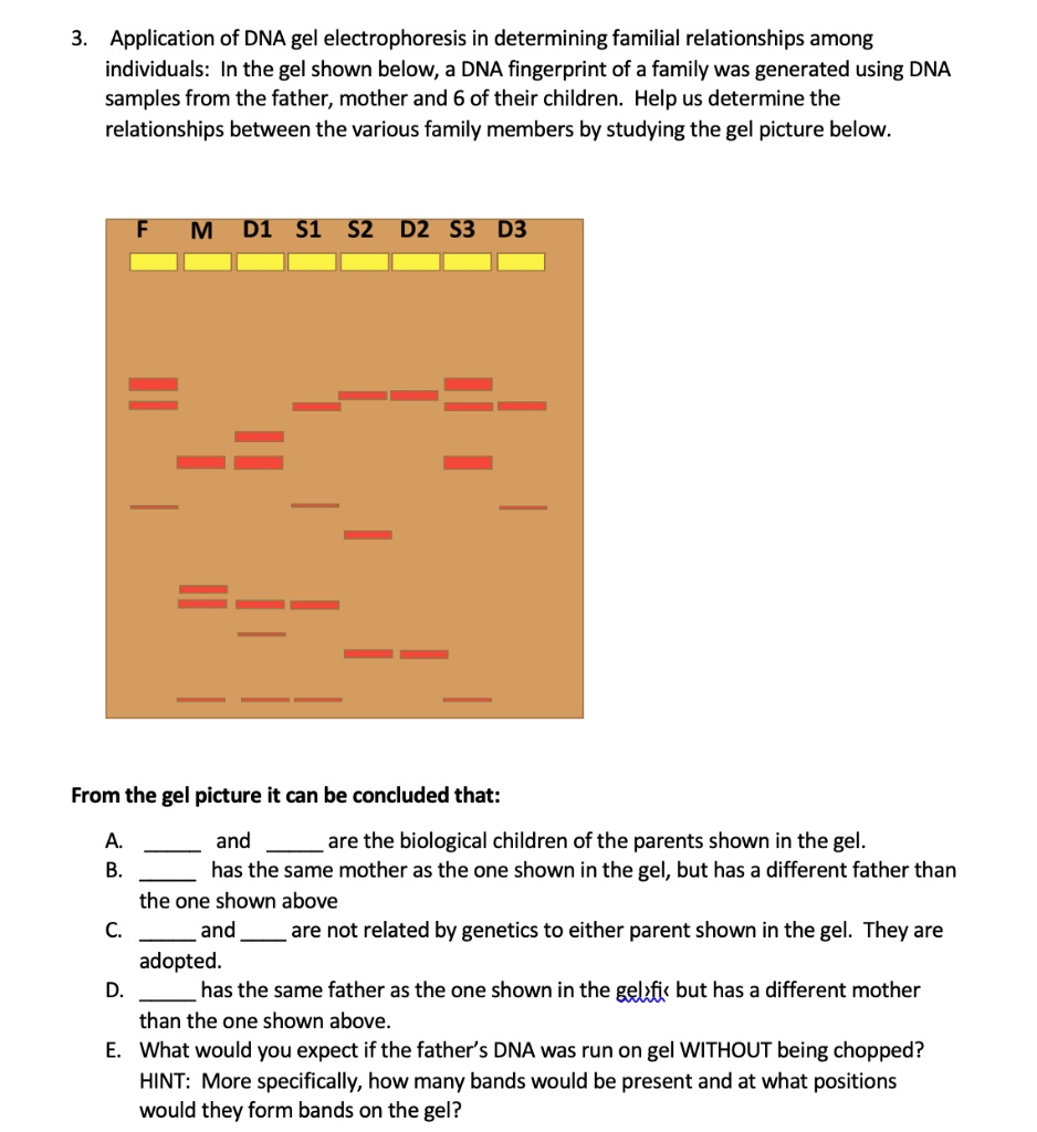 application of dna gel electrophoresis in determining familial ...