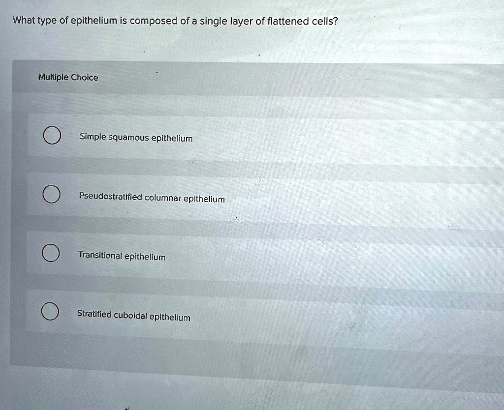 what type of epithelium is composed of a single layer of flattened ...