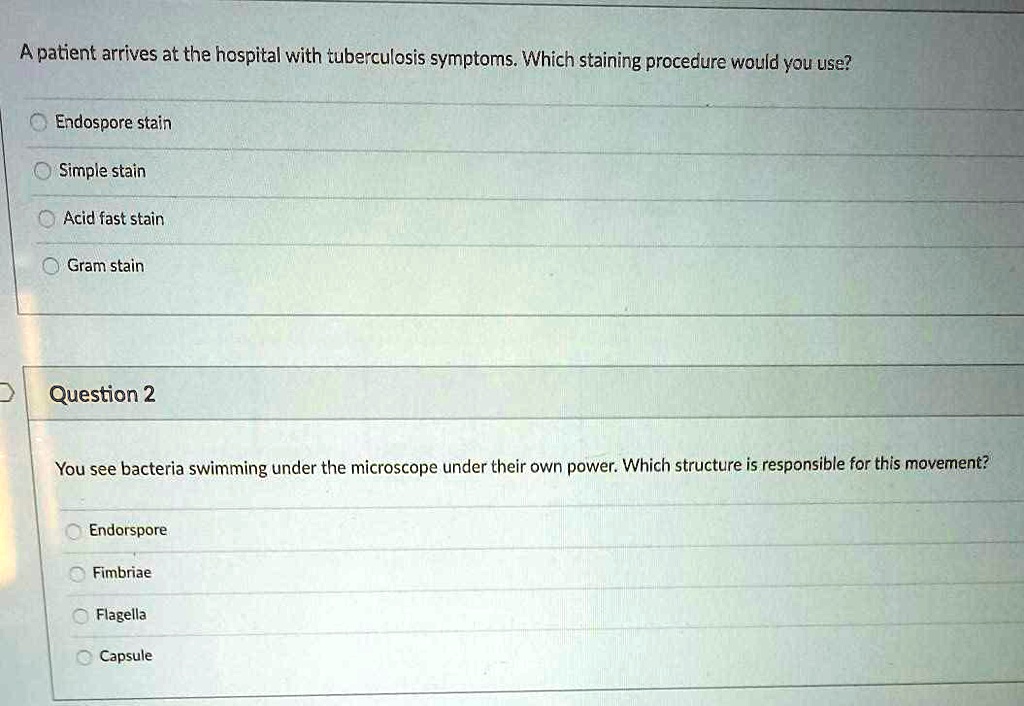 A Patient Arrives At The Hospital With Tuberculosis Symptoms Which