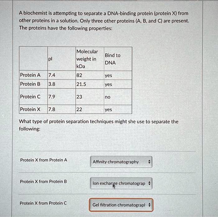 SOLVED: Texts: A biochemist is attempting to separate a DNA-binding protein (protein X) from ...
