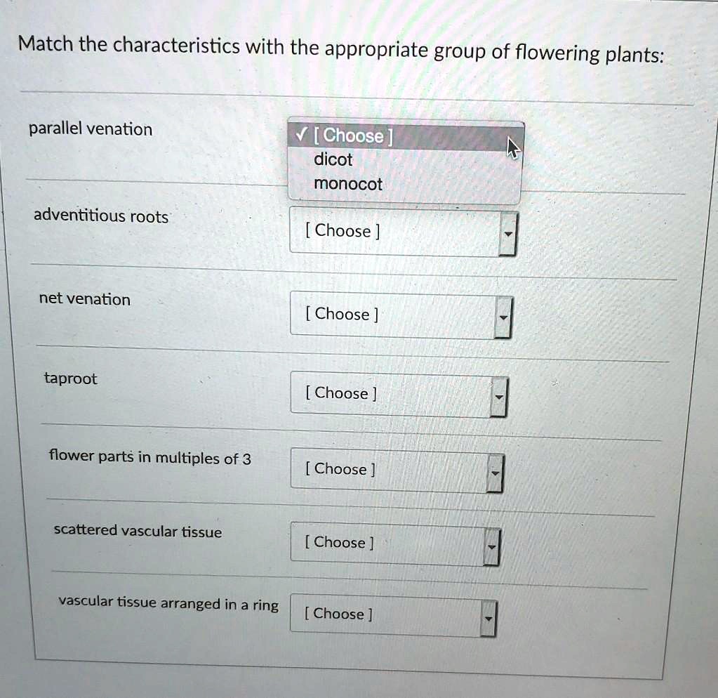match the characteristics with the appropriate group of flowering ...