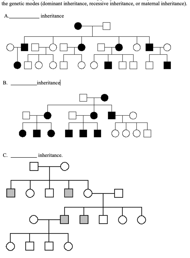 Solved The Genetic Modes Dominant Inheritance Recessive Inheritance Or Maternal Inheritance