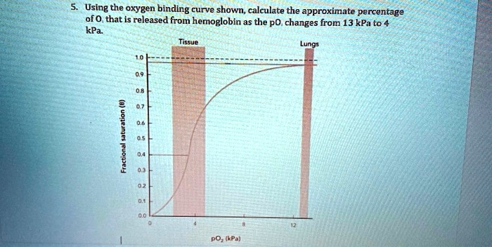 SOLVED: Using the oxygen binding curve shown, calculate the approximate ...