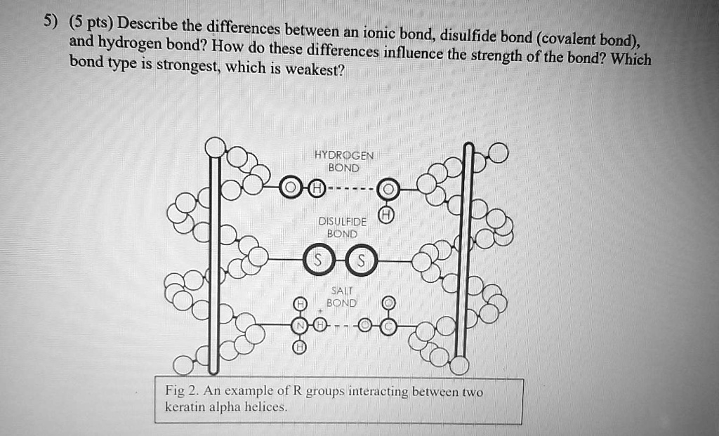 5 sots describe the differences between an ionic bond disulfide bond ...