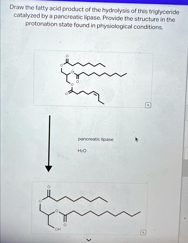 SOLVED: Draw the fatty acid product of the hydrolysis of this ...