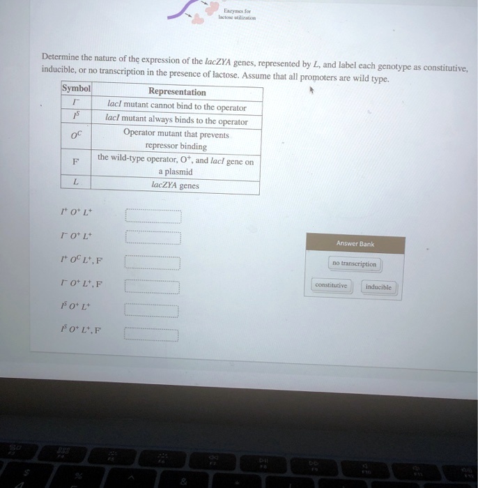 l4is io lilelen determine the nature of the expression of the laczya ...