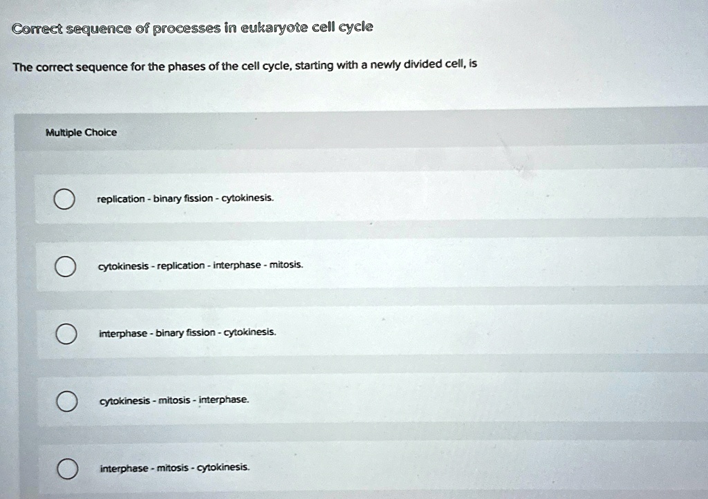 correct sequence of processes in eukaryote cell cycle the correct ...