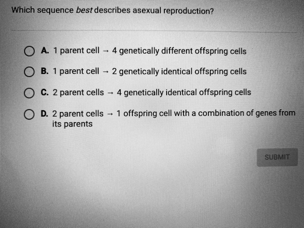 SOLVED: 'Which sequence best describes asexual reproduction? Which ...