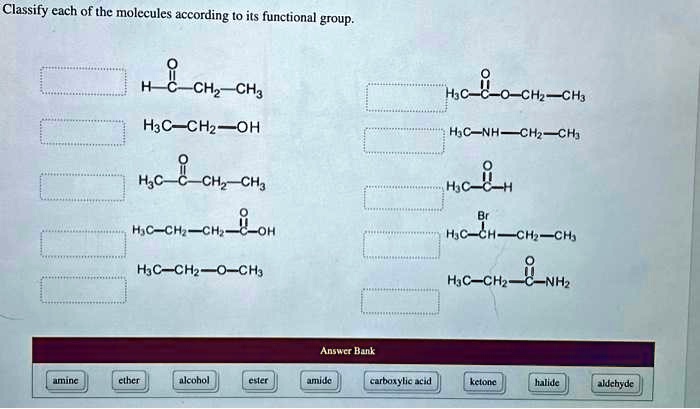 Classify each of the molecules according to its functional group. H-C-CH2-CH3 H3C-CH2-OH H3C-C ...