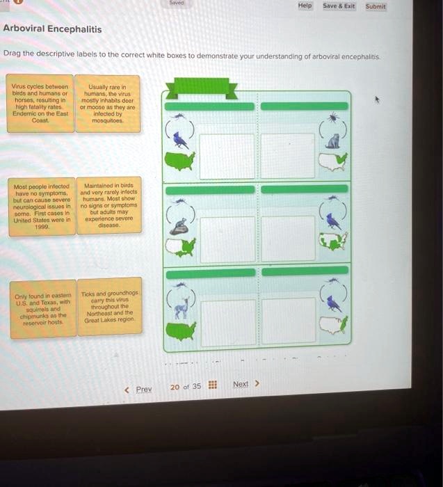 Saved Help Save Exit Submit Arboviral Encephalitis Drag the descriptive ...