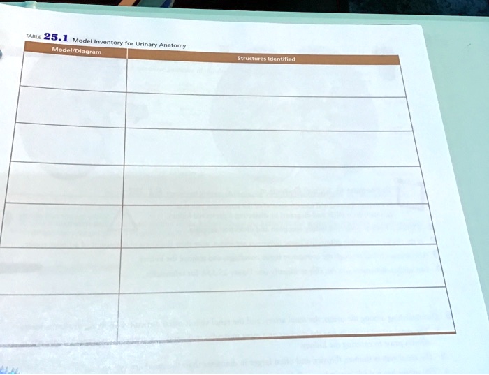 SOLVED: TABL25. Model Inventory for Urinary Anatomy Structures identified