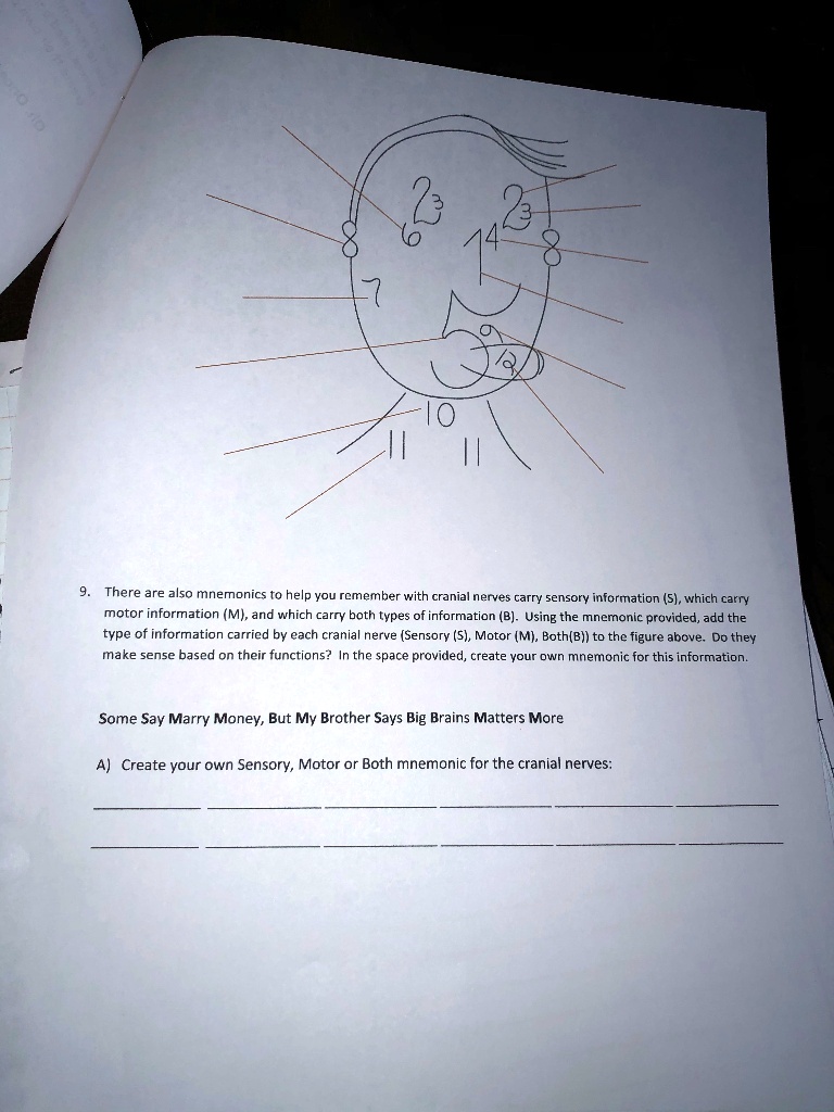 SOLVED: 9. There are also mnemonics to help you remember with cranial ...