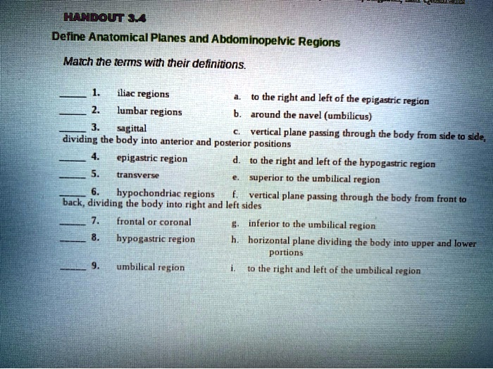 handout 3 define anatomical planes and abdominopelvic regions maich te ...