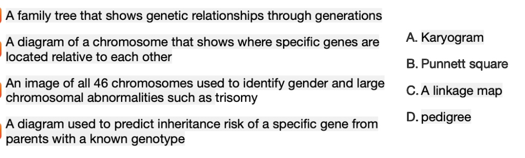 SOLVED: A family tree that shows genetic relationships through ...