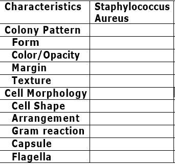 SOLVED: Characteristics Staphylococcus Aureus Colony Pattern Form Color ...