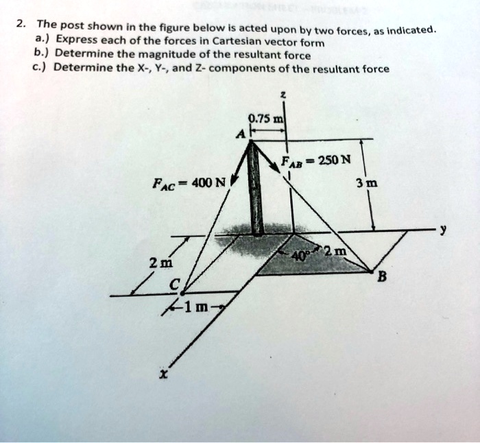 SOLVED: a.) Express each of the forces in Cartesian vector form. b ...