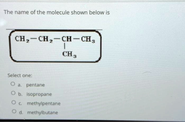 SOLVED: The name of the molecule shown below is CH-CH-CH-CH CH Select ...