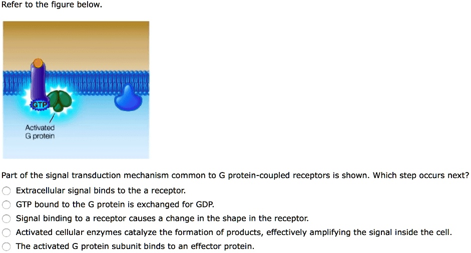 SOLVED: ' Refer to the figure below TP Activated G protein Part of the ...