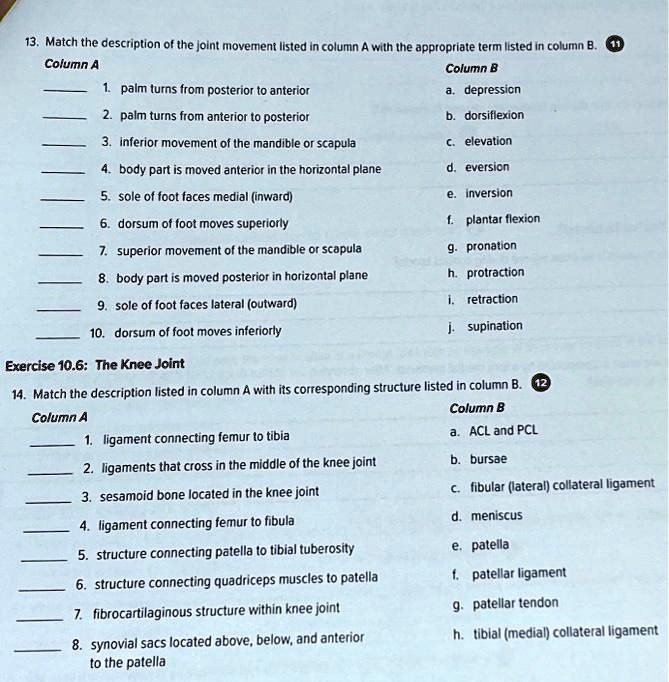 13. Match the description of the joint movement listed in column A with ...