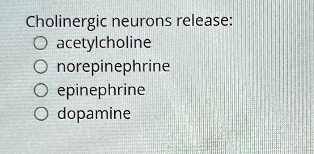 Cholinergic neurons release: ? acetylcholine ? norepinephrine ...