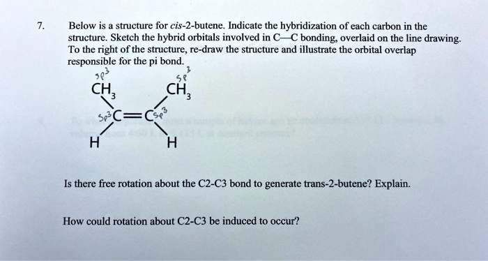 7. Below is a structure for cis-2-butene. Indicate the hybridization of each carbon in the ...